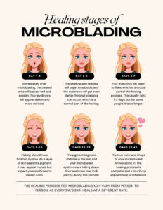 Demystifying Microblading Healing Process: Stages & Tips